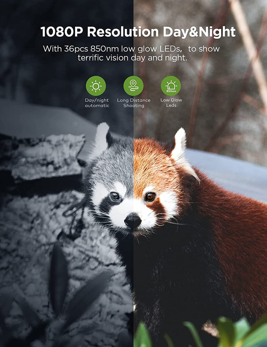 APEMAN H50/H55 Trail Camera 20MP 1080P – Apeman US