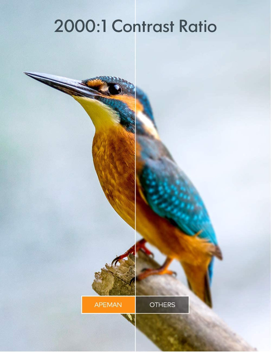 APEMAN 2021 Upgraded 1080P HD and 180" Display Supported Projector ...